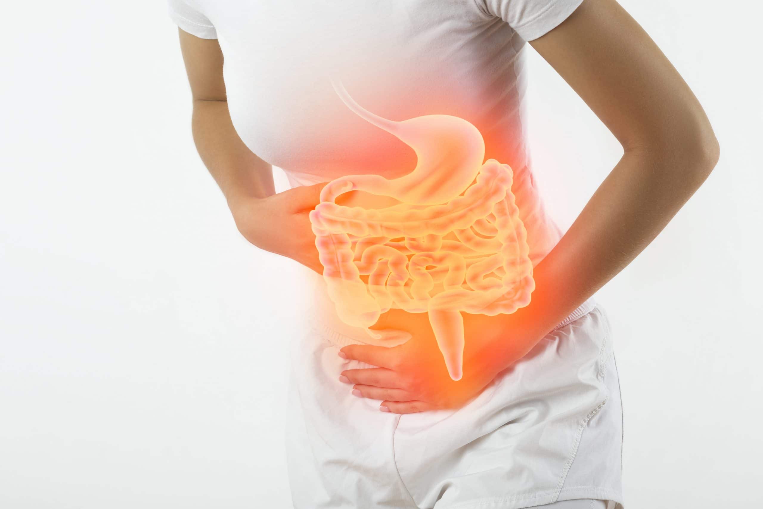 Intestino irritato: cosa fare? Alcuni consigli utili - Blog di Zymerex